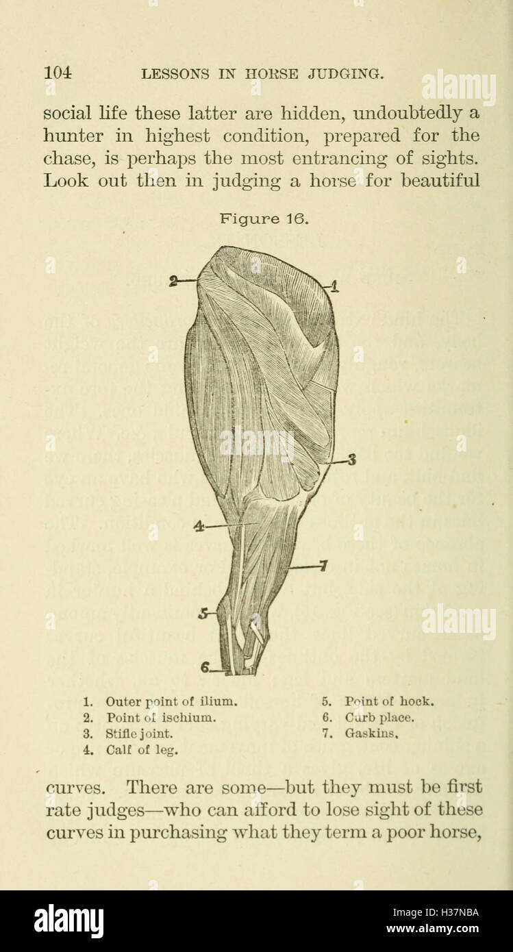 Judging books hi-res stock photography and images - Alamy