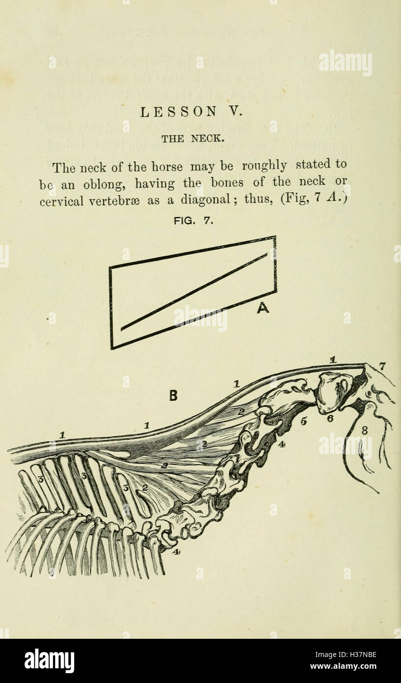 Judging books hi-res stock photography and images - Alamy