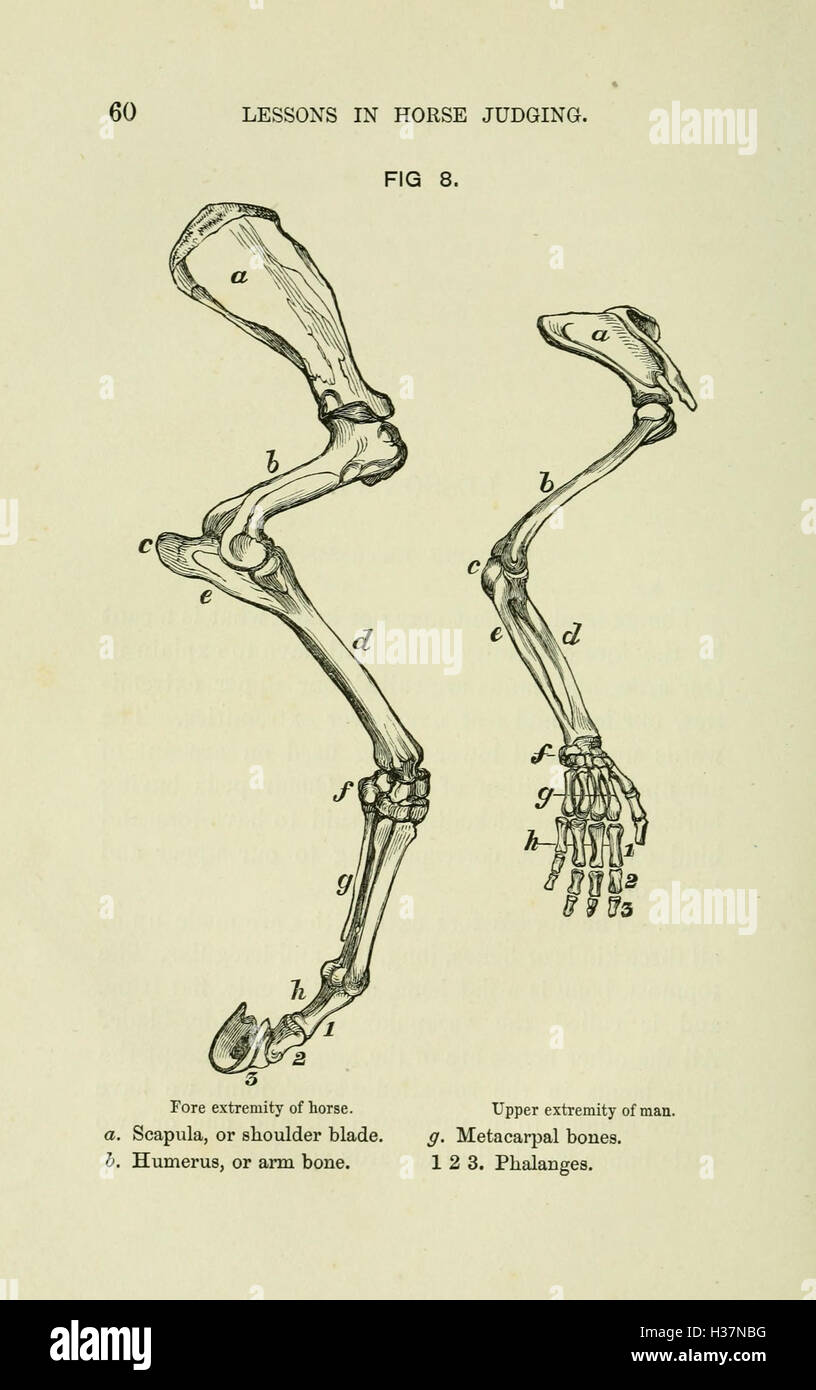 Judging books hi-res stock photography and images - Alamy