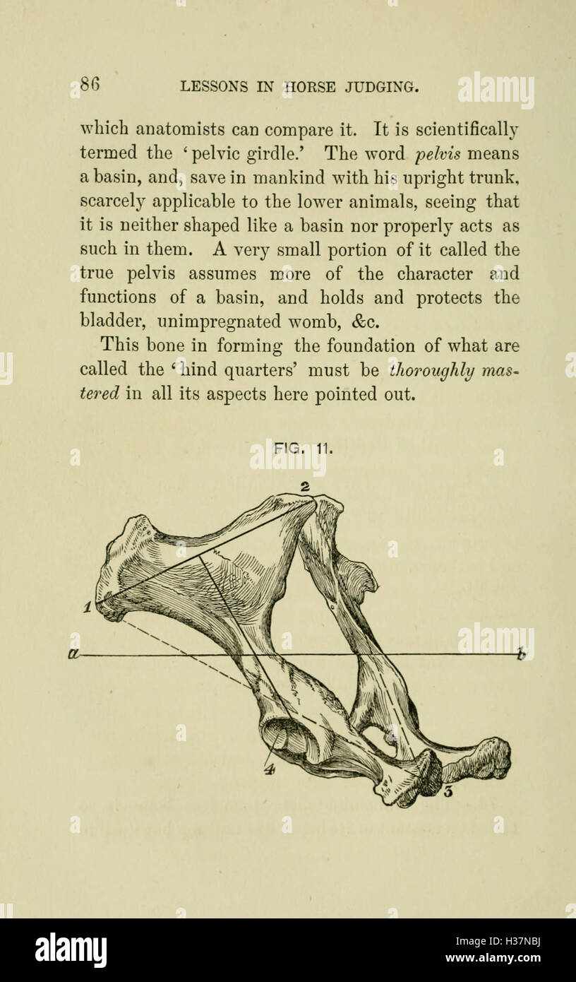 Judging books hi-res stock photography and images - Alamy