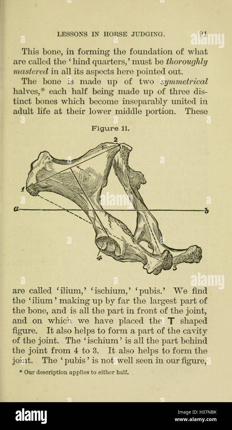 Judging books hi-res stock photography and images - Alamy