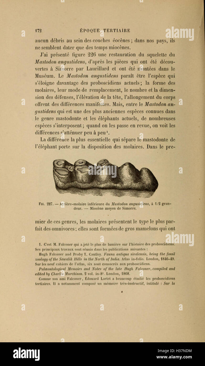 This work examines the connections and evolution of animal life during ...