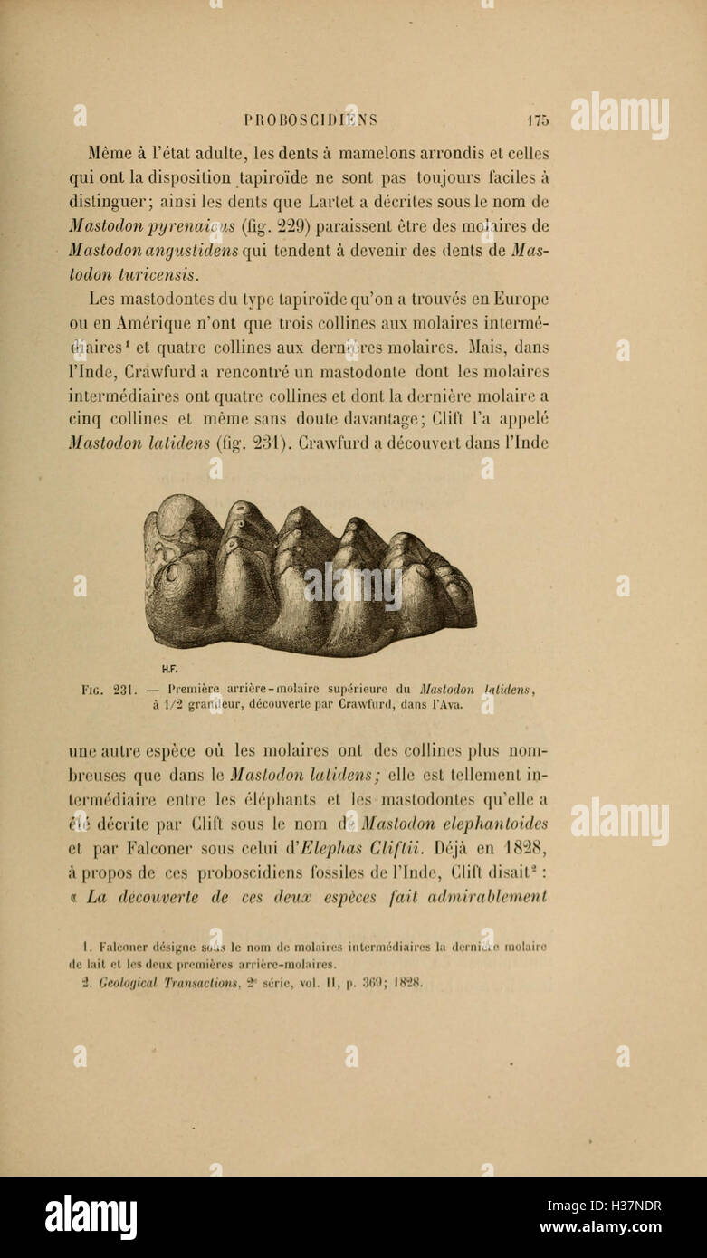 This French work examines the sequences of animal life throughout ...