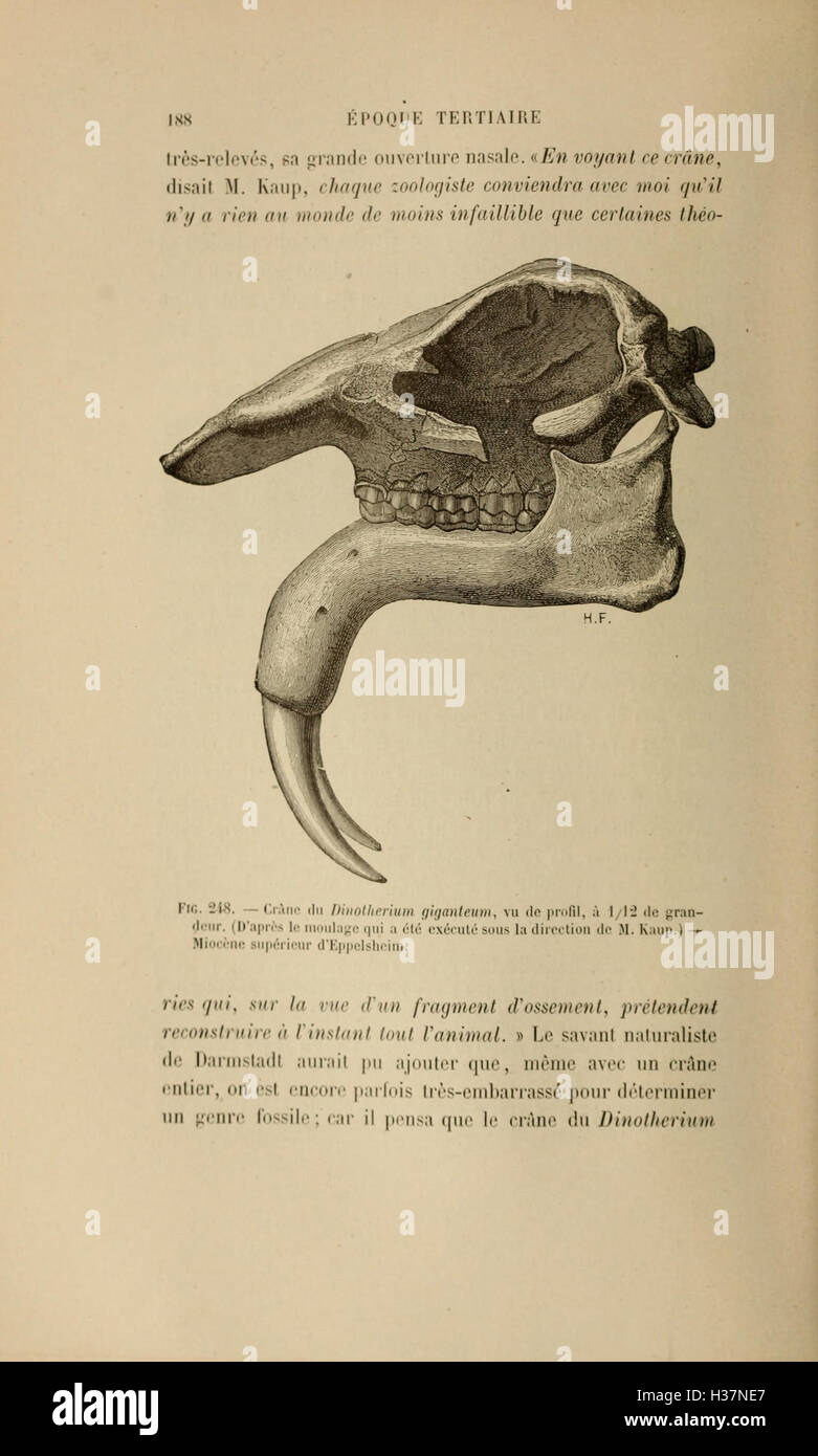 This French work examines the connections between animal species ...