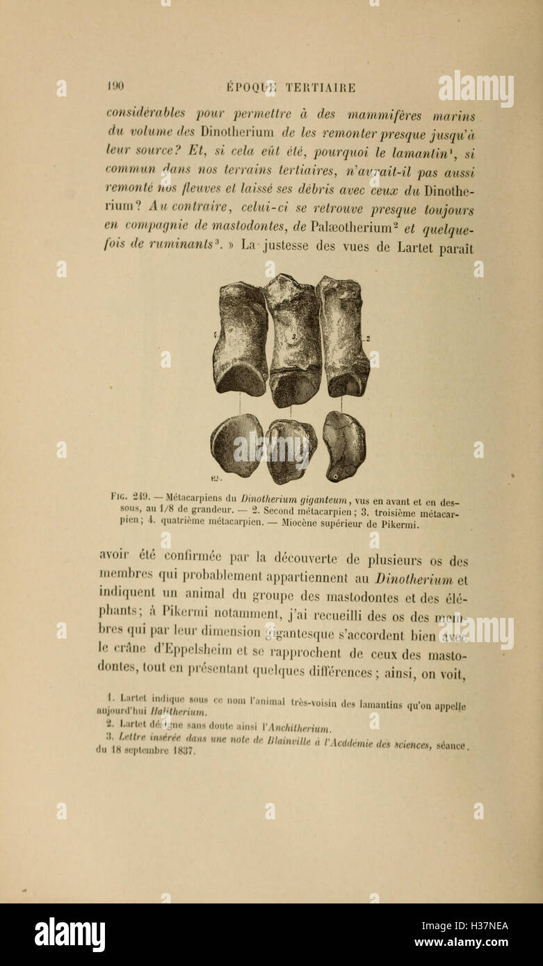 This French work discusses the connections and evolutionary chains of ...