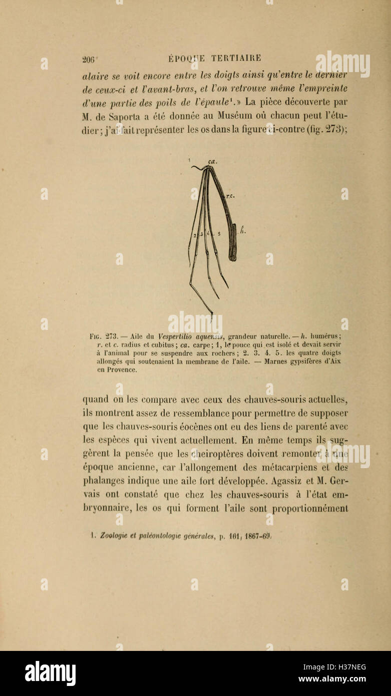This work examines the connections and evolutionary progression of ...