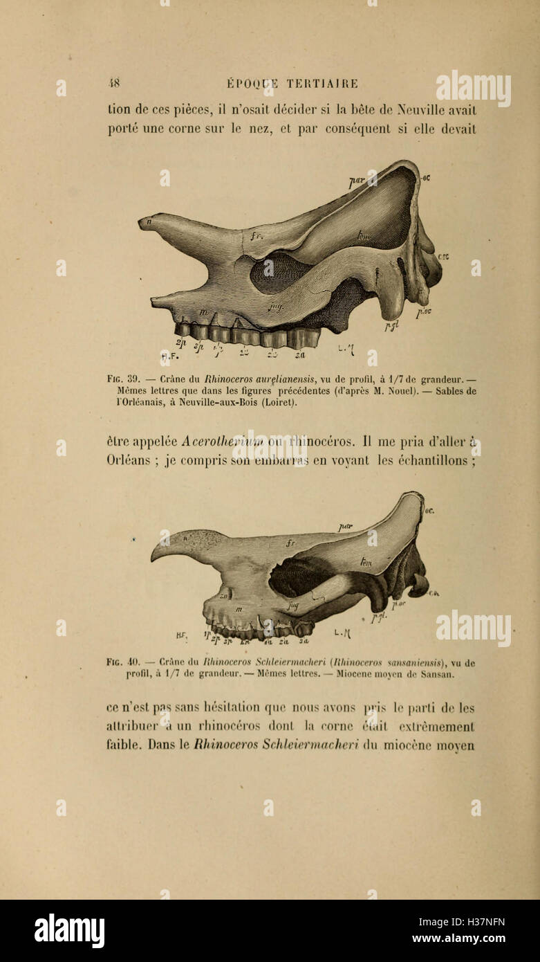 A study of the evolution and relationships of animal life throughout ...