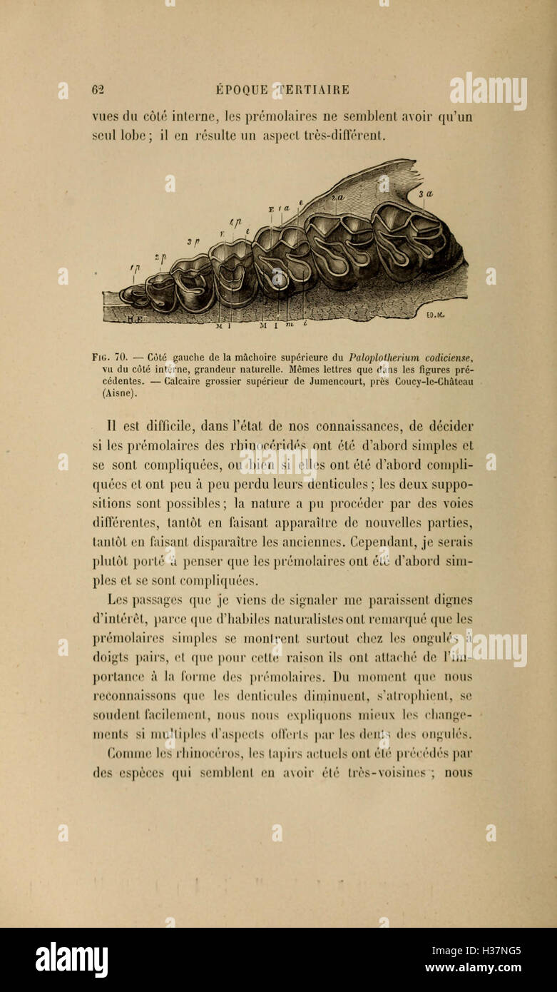 A study of the evolution and geological connections between animal ...