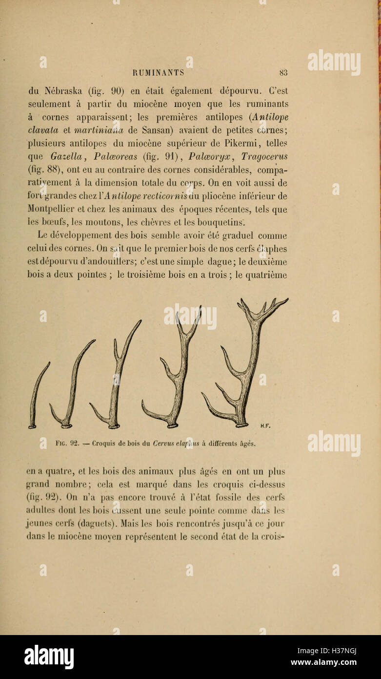This French work examines the evolutionary connections and development ...