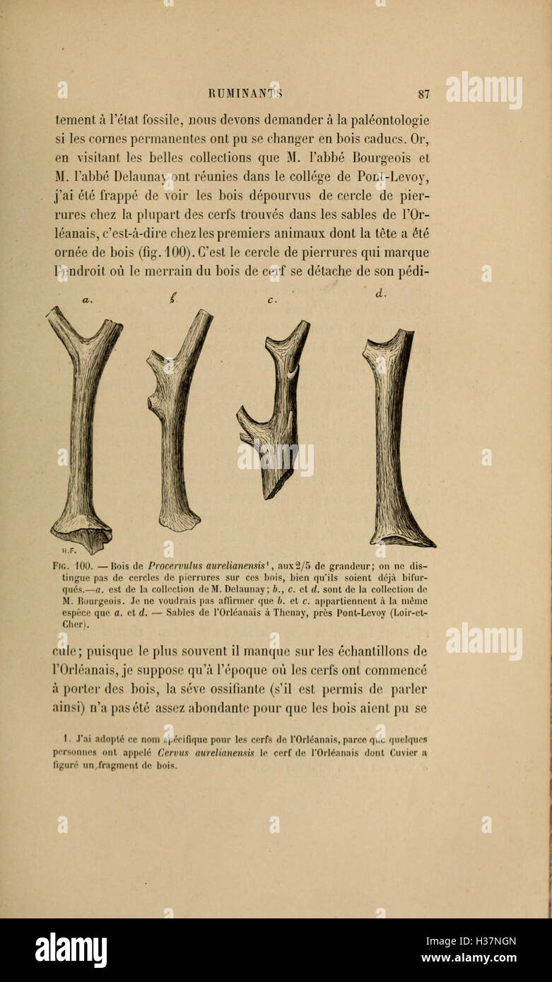 This work examines the connections and evolution of the animal kingdom ...