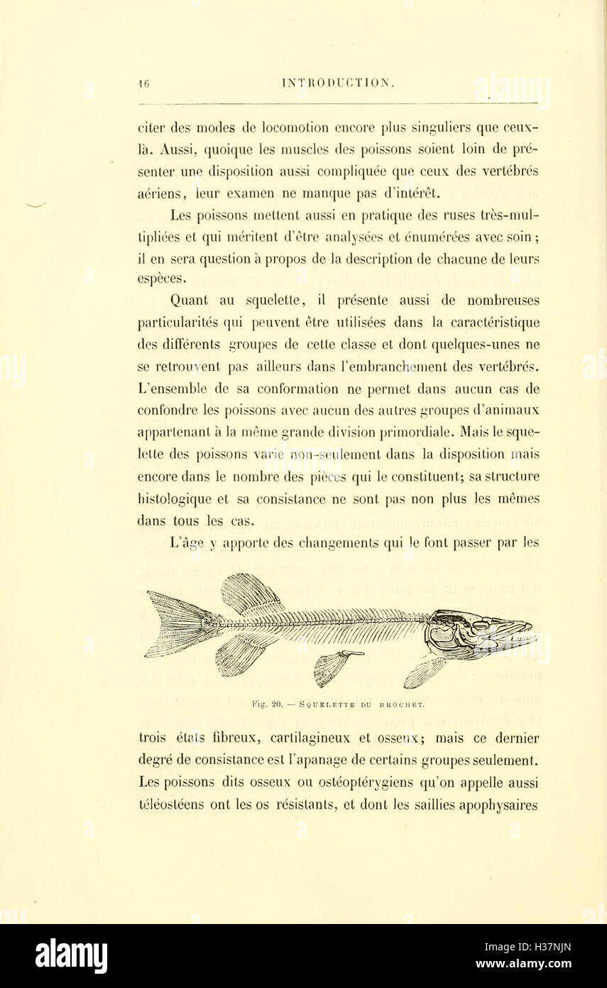 A study on fish, focusing on their biology, behavior, and the diversity ...