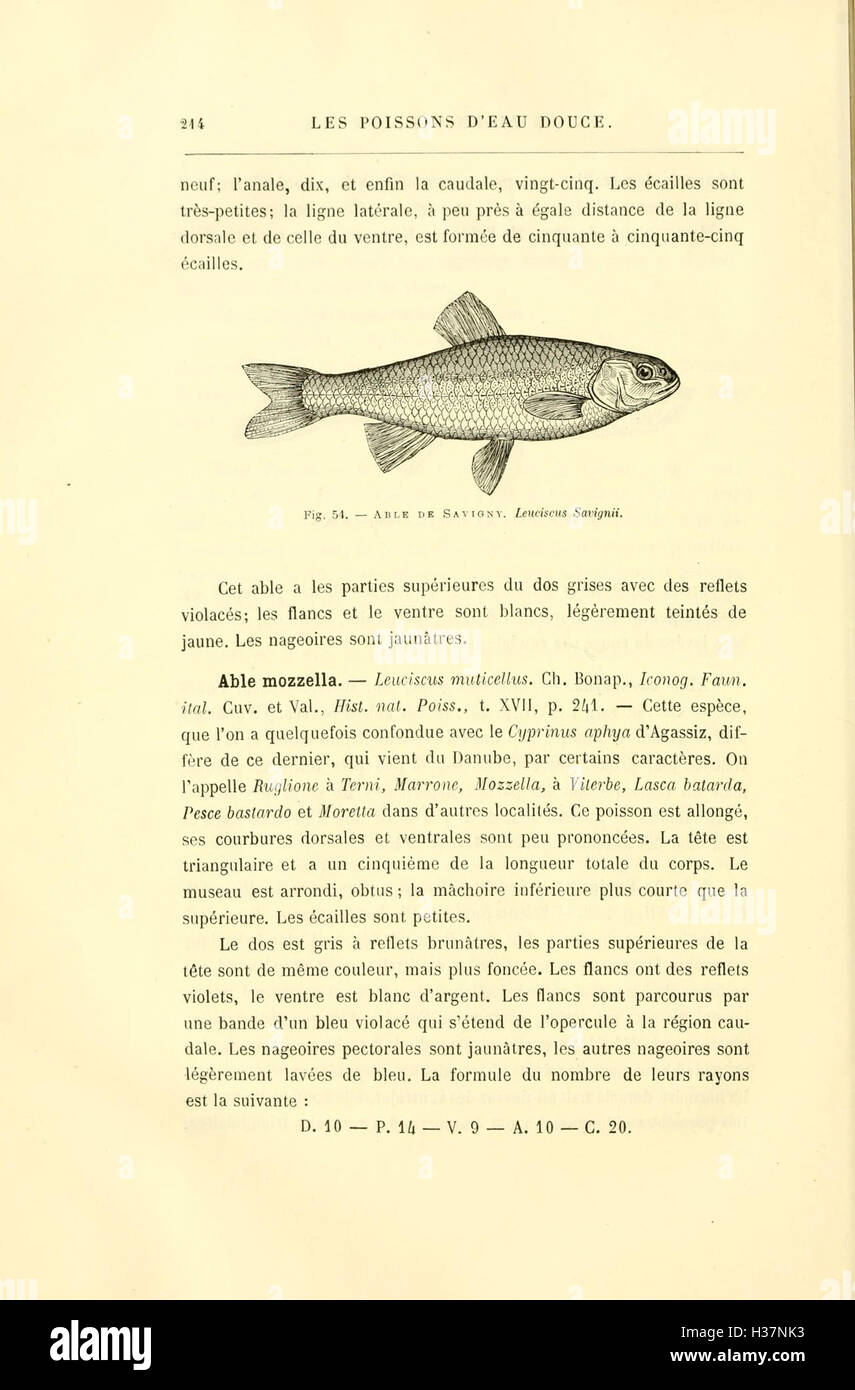 This page provides an overview of fish species, focusing on their ...