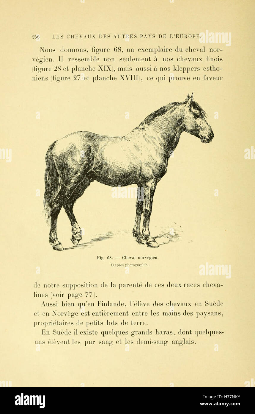 This work provides a detailed examination of horse breeds, discussing ...