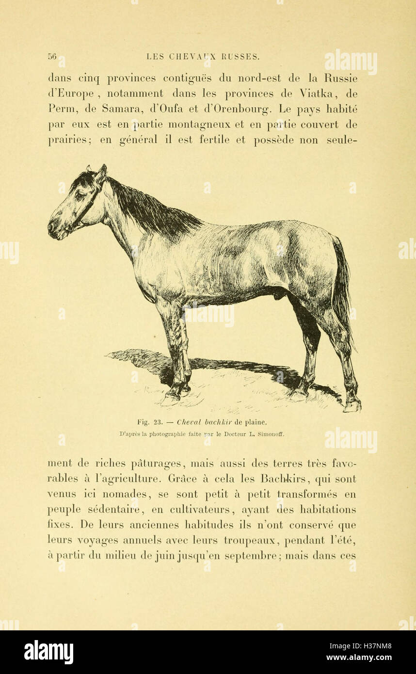 This work focuses on the various horse breeds, examining their physical ...
