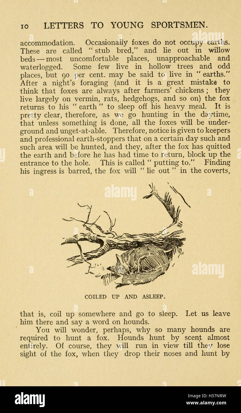 Hunting letters hi-res stock photography and images - Alamy