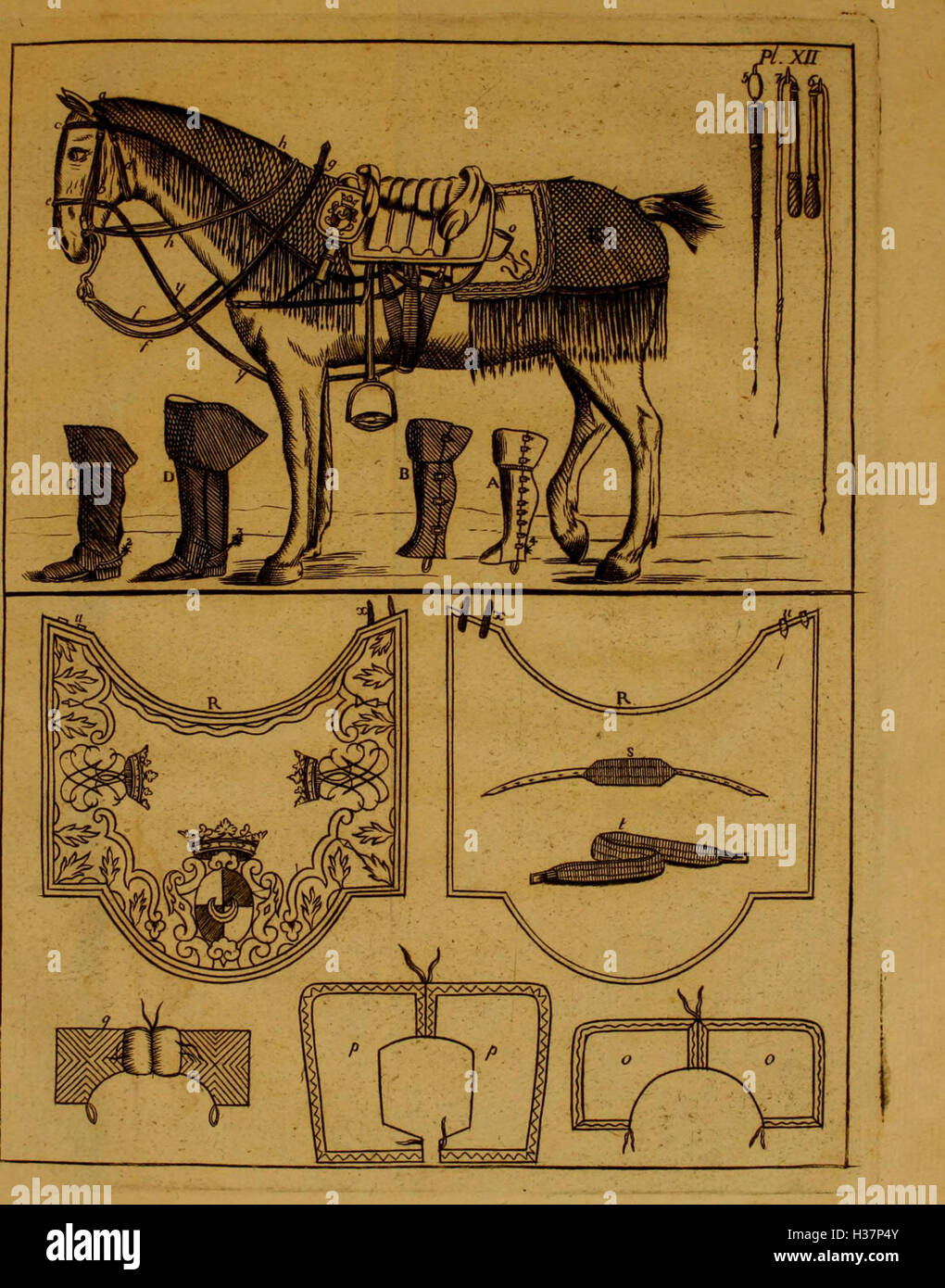 A thorough guide on farriery and horse care, focusing on the general ...