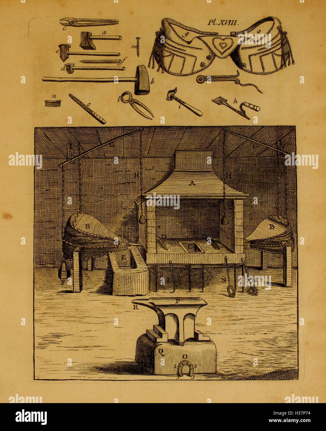 *Le Nouveau Parfait Maréchal* (The New Perfect Farrier) provides a ...