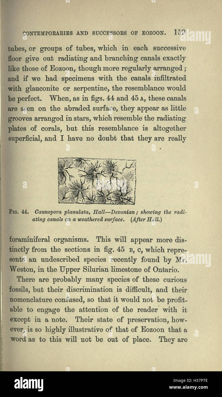 This page explores the oldest known fossil remains, detailing their ...