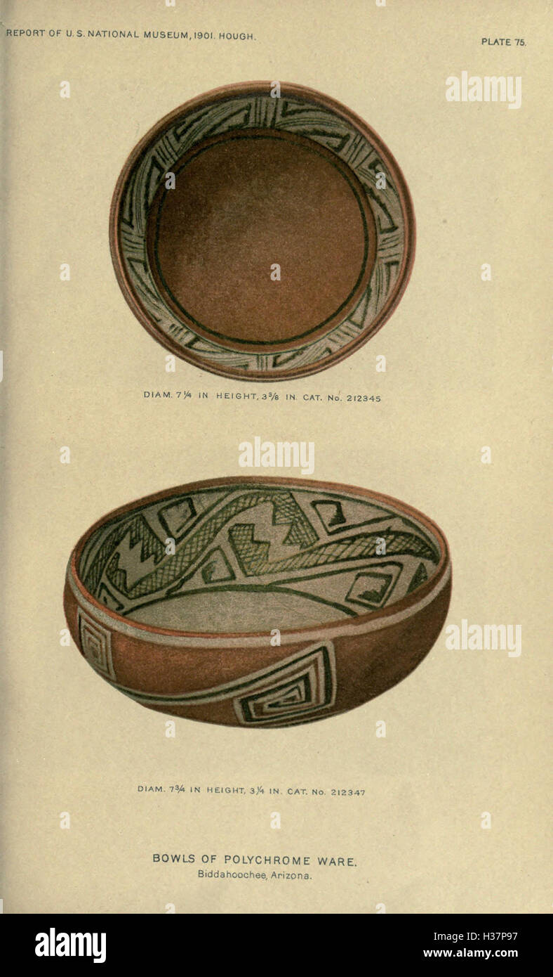 Archeological field work in northeastern Arizona. The Museum-Gates ...