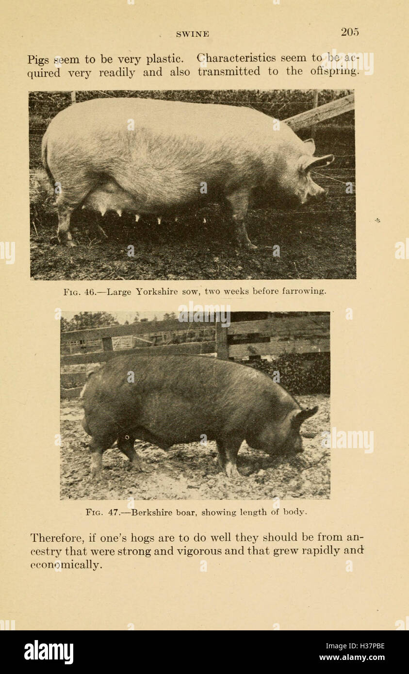 This book covers the management, care, and breeding of livestock on ...