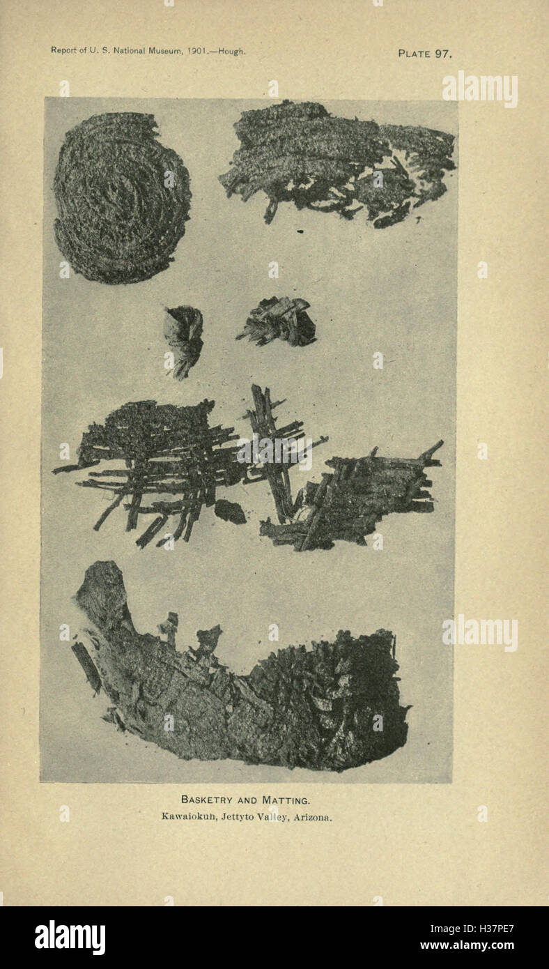 This document covers the archaeological work conducted during the 1901 ...