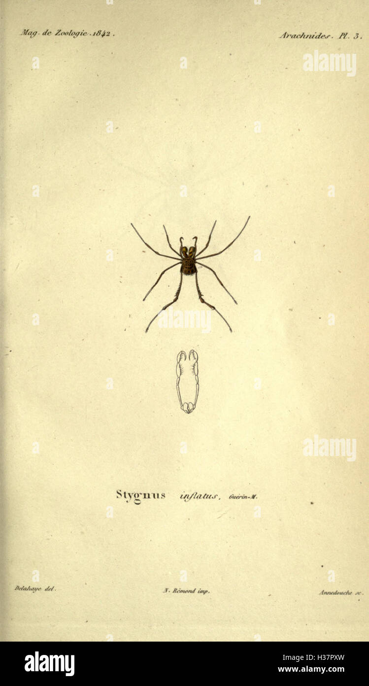 This zoology magazine covers a broad range of topics in the study of ...