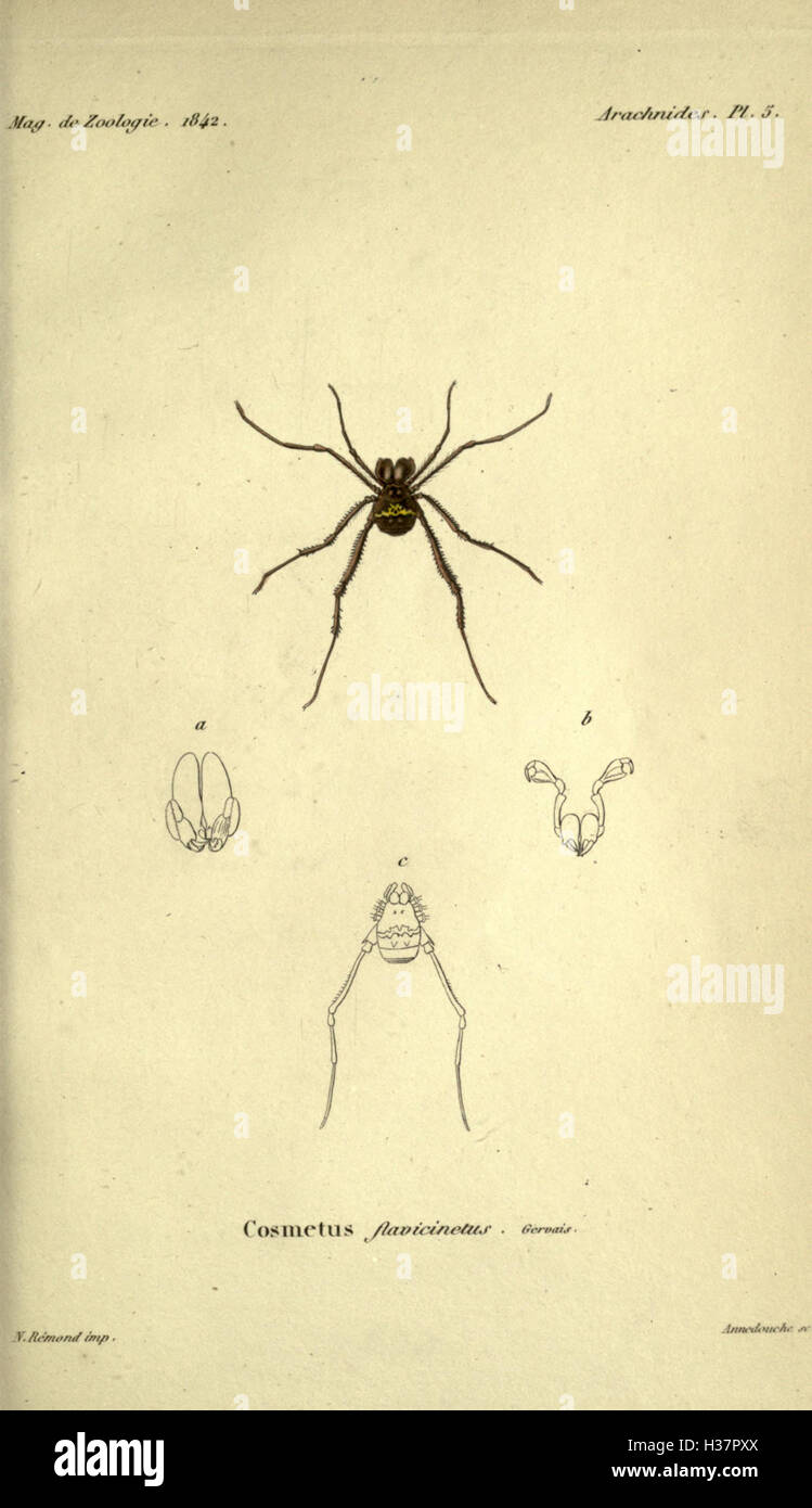 This work covers a broad range of zoological topics, including animal ...