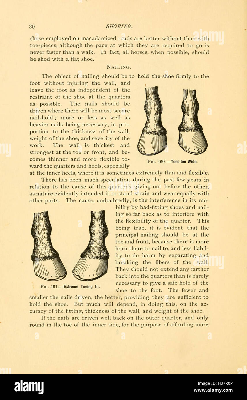 This practical guide covers the fundamentals of horseshoeing, focusing ...