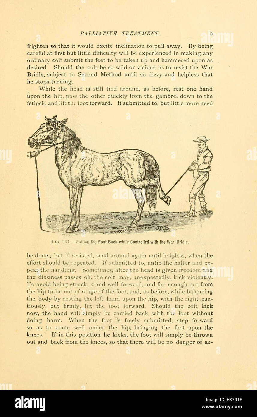 Shoeing technique guide hi-res stock photography and images - Alamy