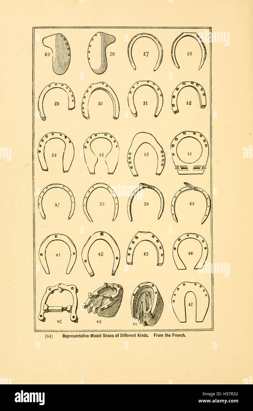 This guide offers a practical approach to horseshoeing, covering ...