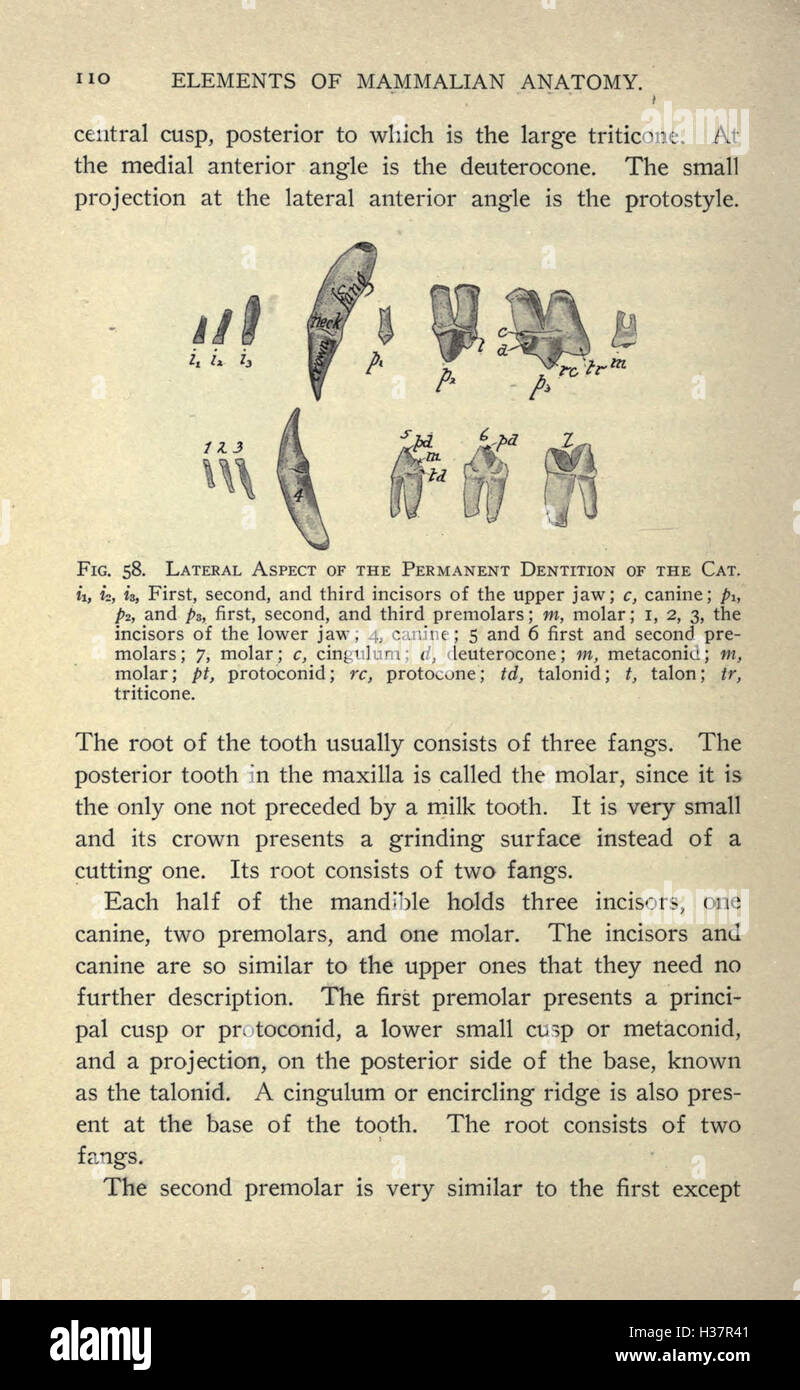 This section covers the anatomy of mammals, detailing organ systems ...