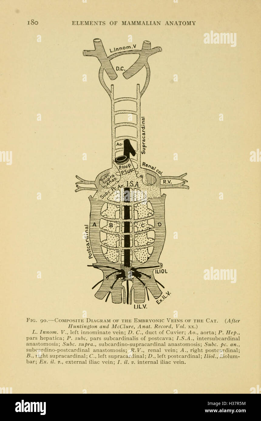 This section covers the anatomy of mammals, focusing on the skeletal ...