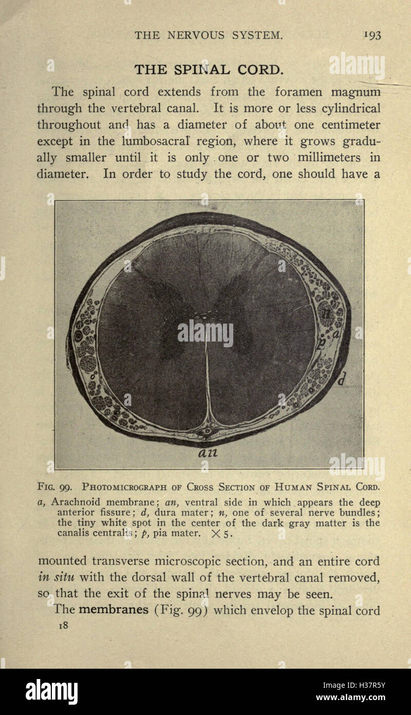 This text covers the anatomy of mammals, focusing on the skeletal ...