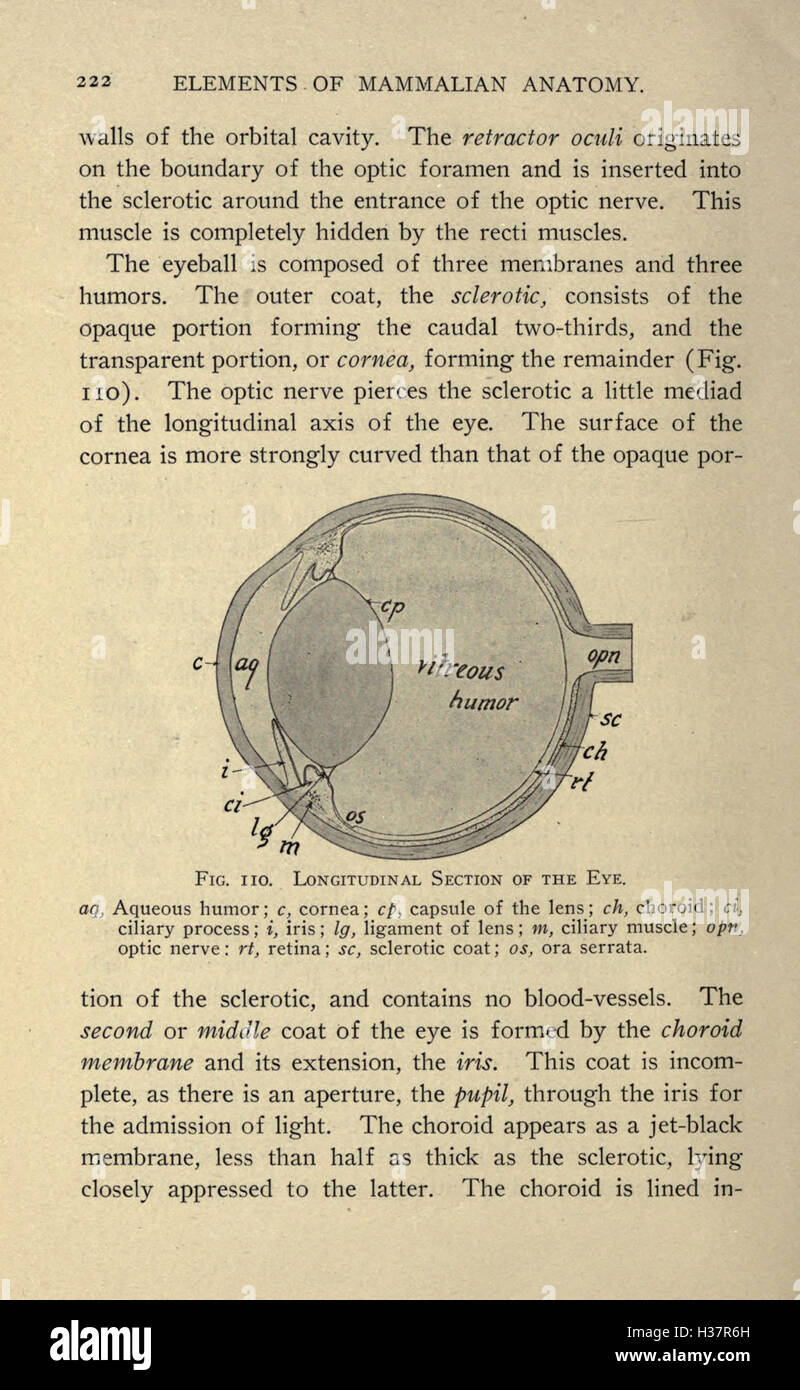 This work covers the anatomical structure of mammals, examining their ...