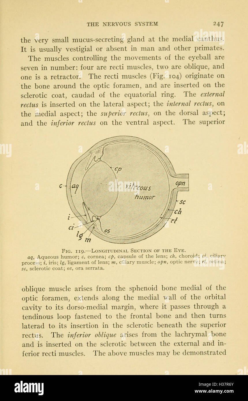 This section focuses on the anatomy of mammals, detailing organ systems ...