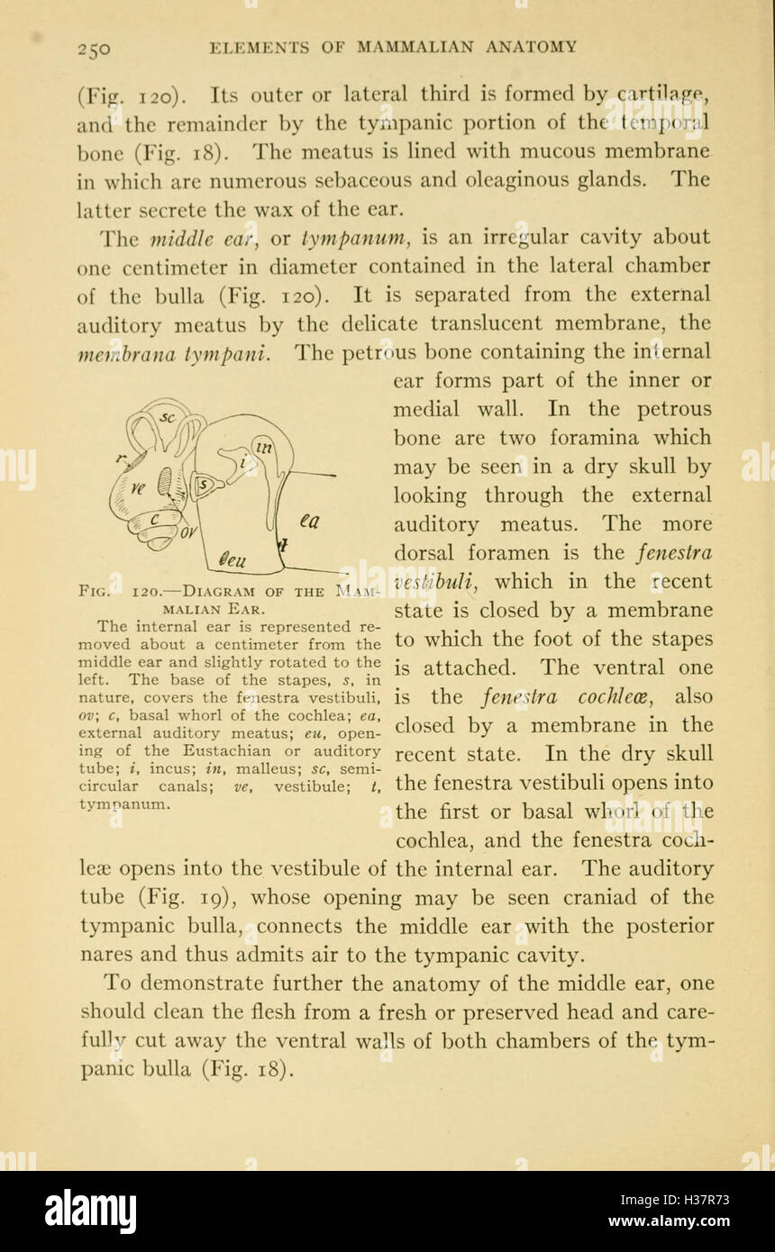 Mammalian Anatomy provides an in-depth look at the structure and ...