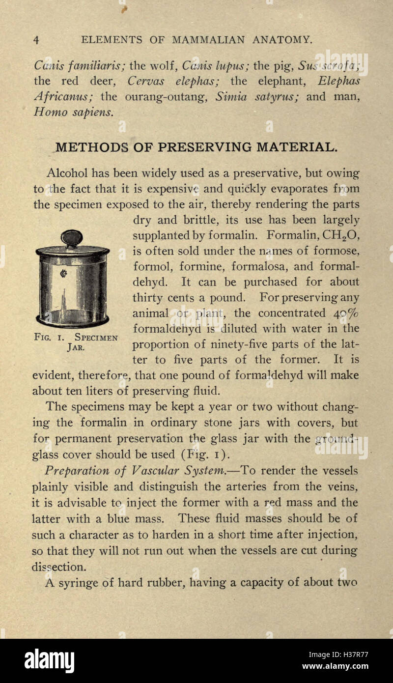 This text provides an overview of mammalian anatomy, focusing on the ...