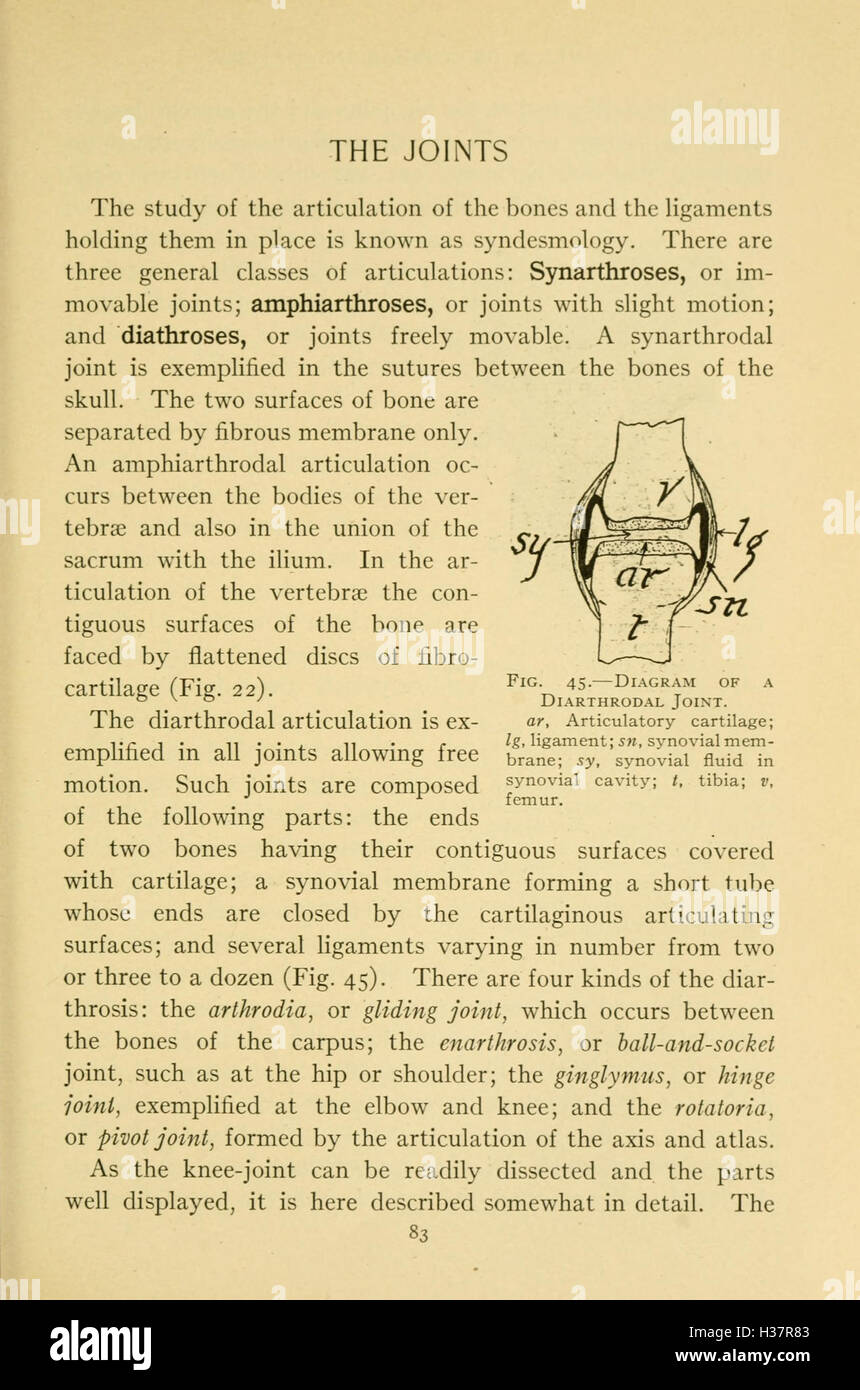 This page from 'Mammalian Anatomy' presents detailed descriptions of ...