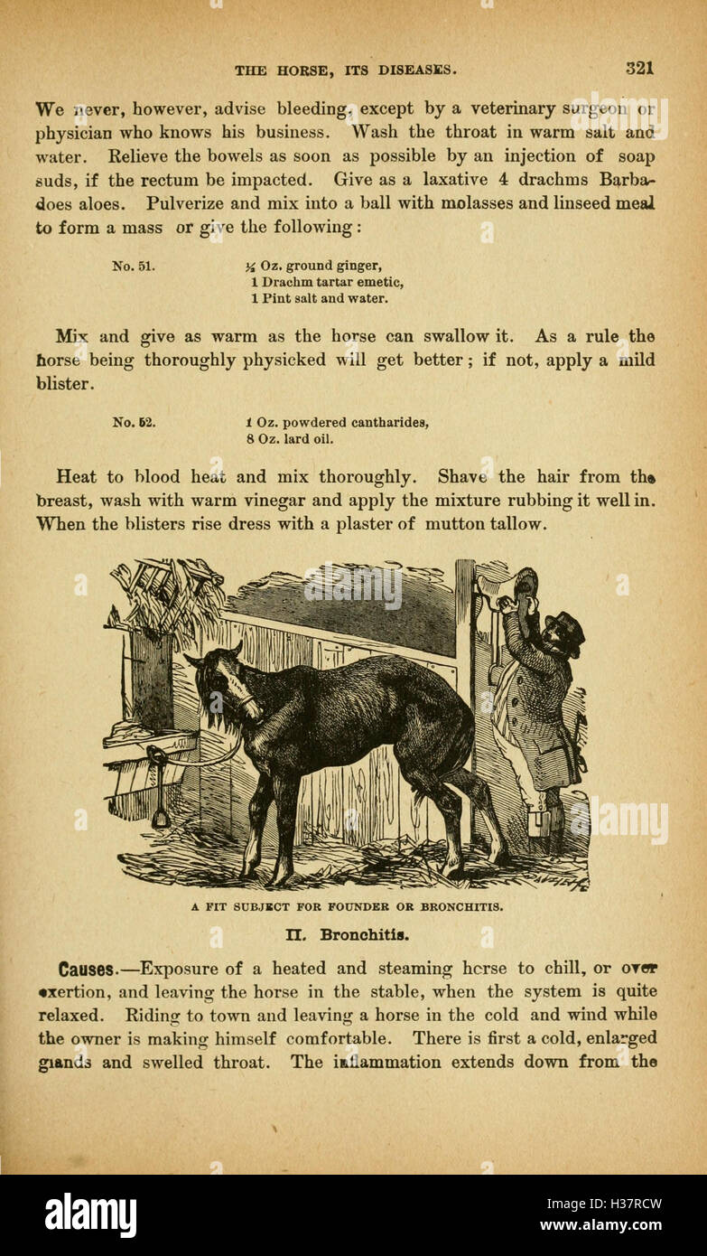 Manning’s guide covers essential information on horse care, training ...