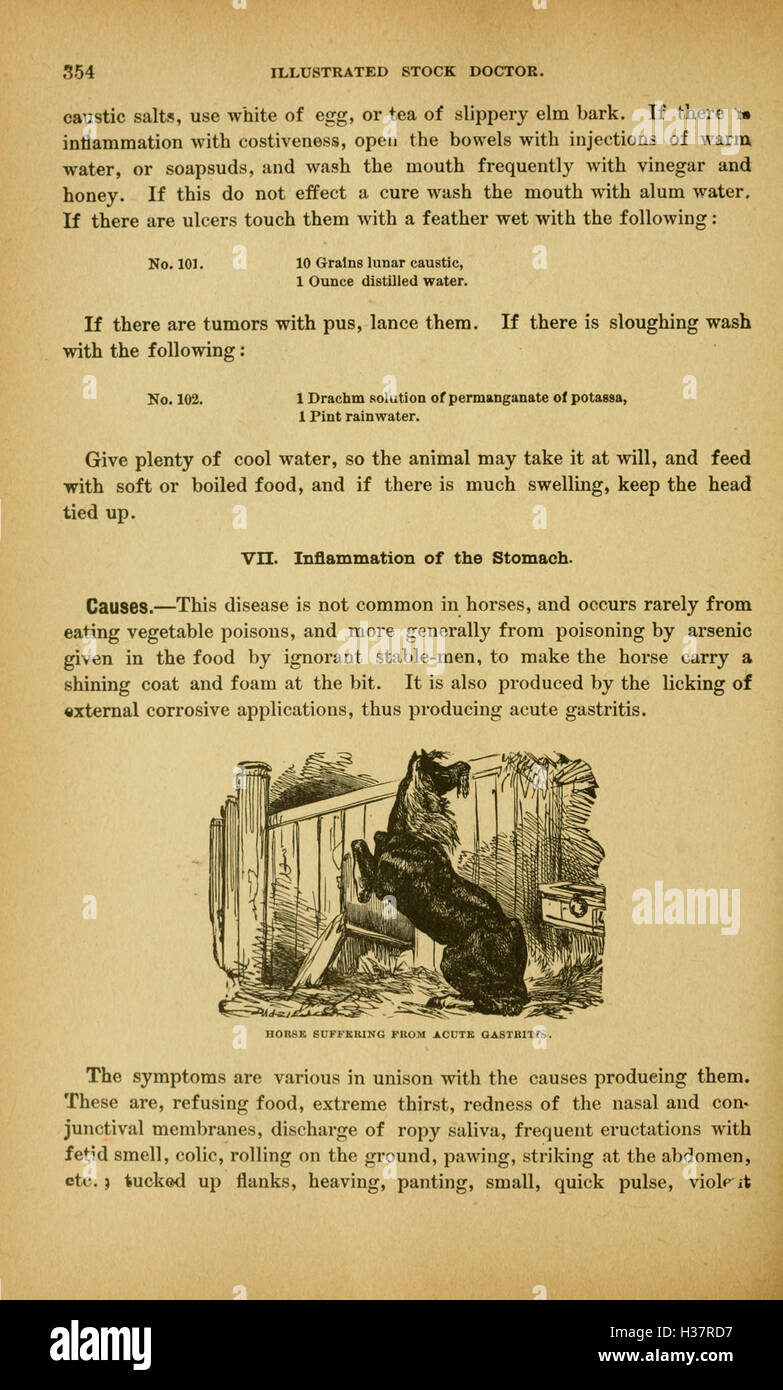 Manning's Horse Book is a comprehensive guide on horse care, training ...