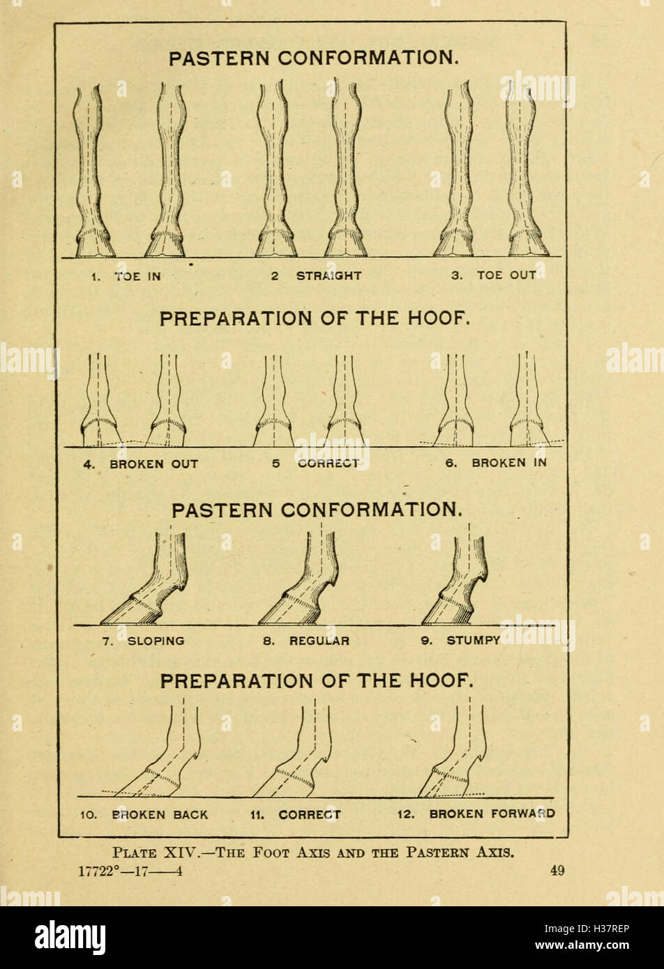 This manual provides instructions for army horseshoers on proper ...