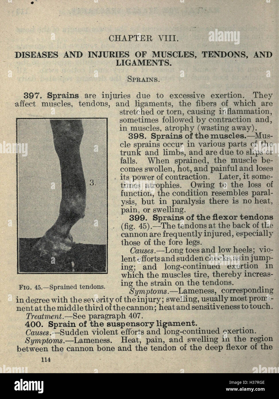 This manual from 1917 provides detailed instructions for stable ...