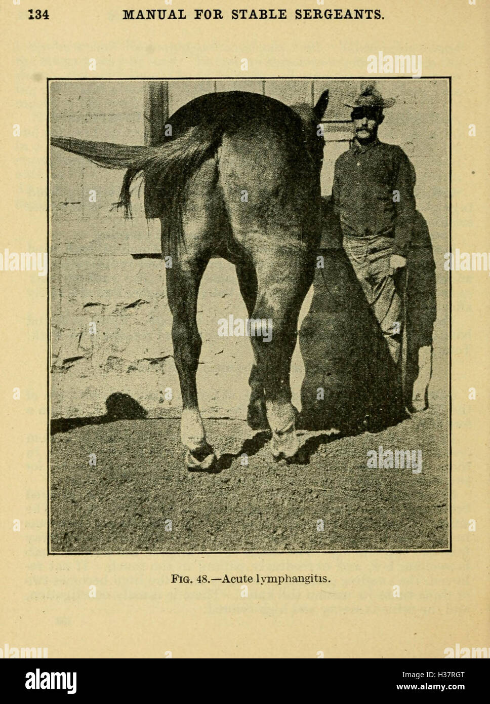 This manual, published in 1917, provides instructions for stable ...