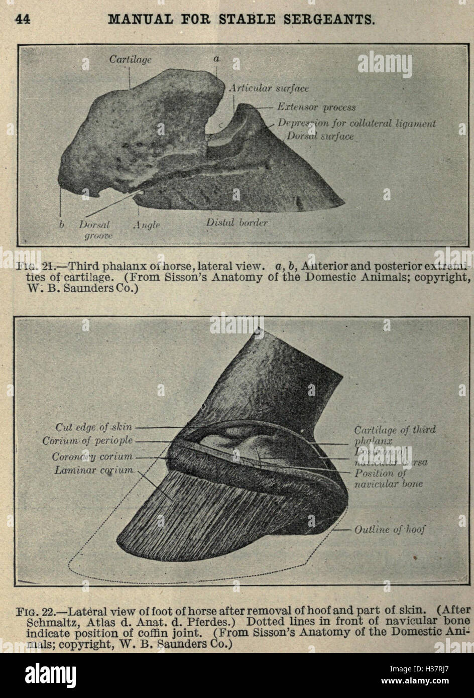 This manual, published in 1917, provides instructions for stable ...