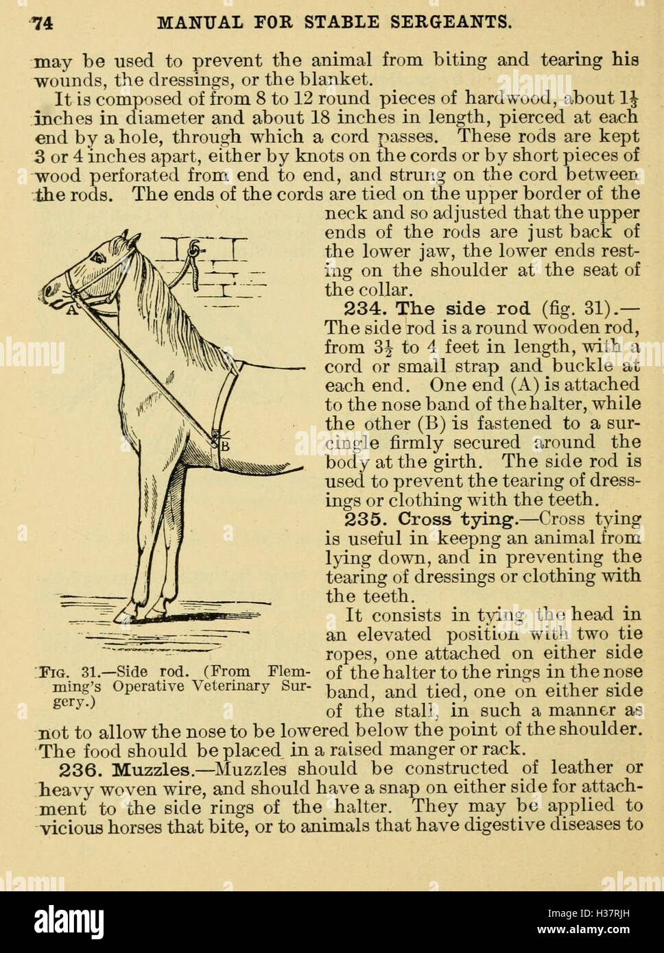 This manual provides instructions and guidelines for stable sergeants ...