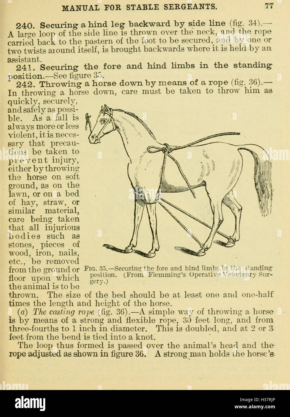 This manual provides instructions for stable sergeants on the care and ...