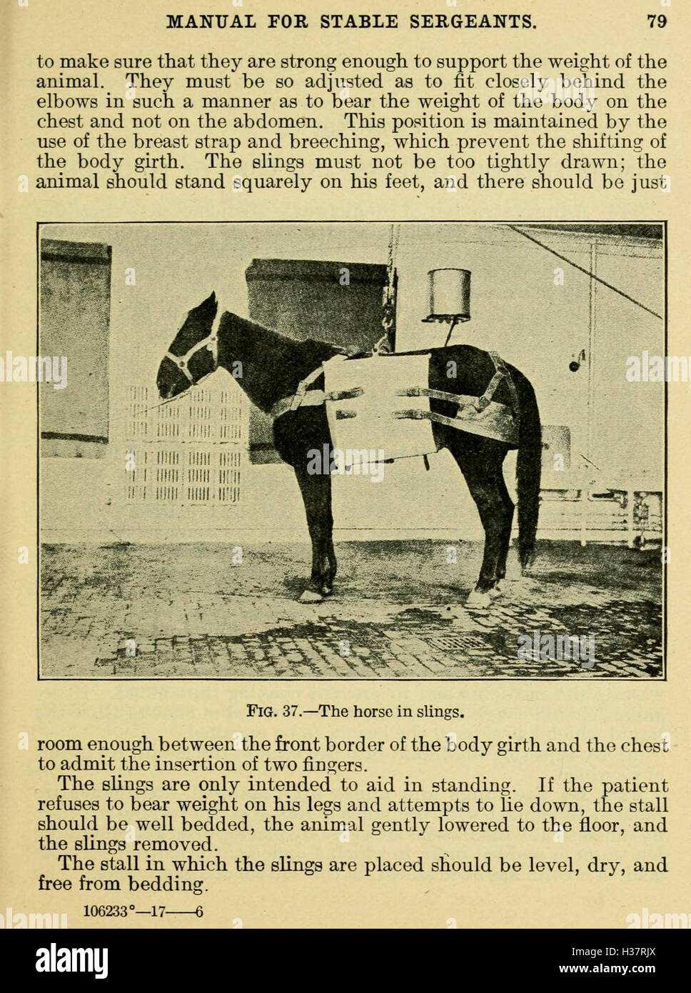 This manual from 1917 provides guidelines for stable sergeants ...