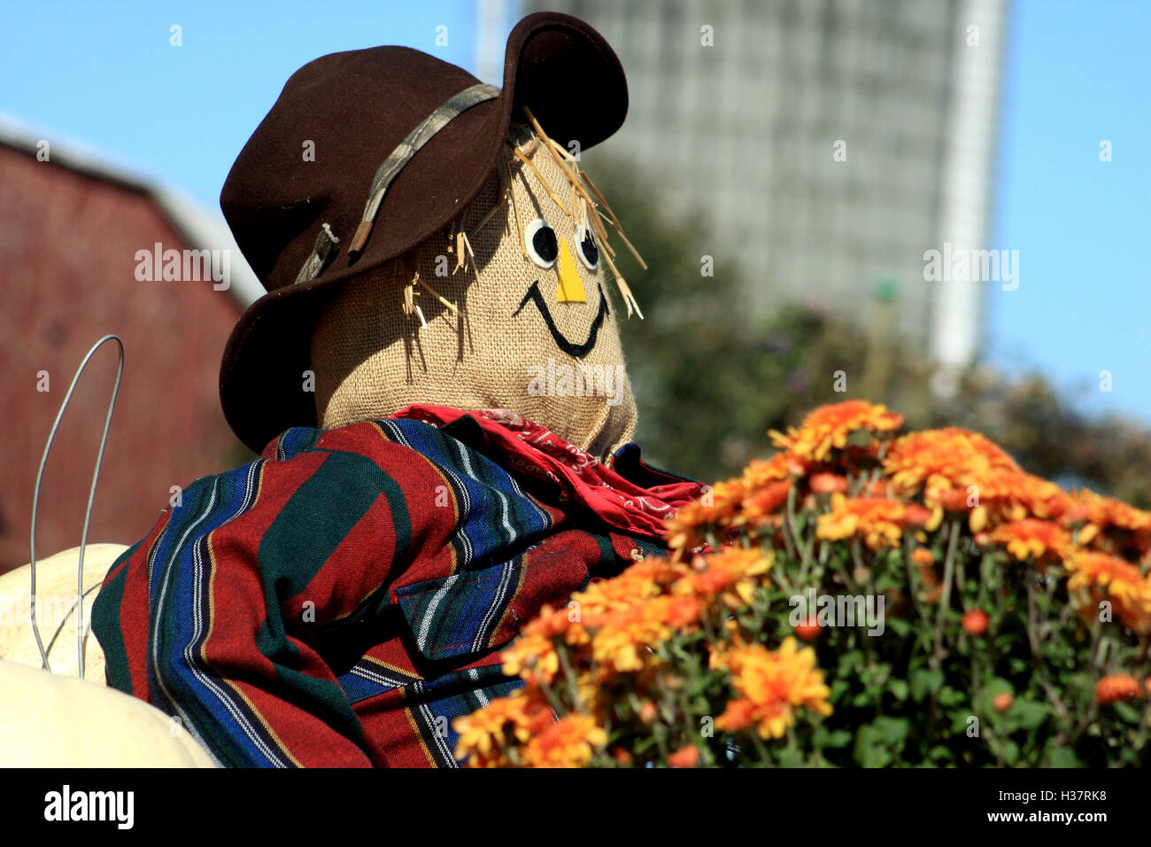 American scarecrow hi-res stock photography and images - Alamy