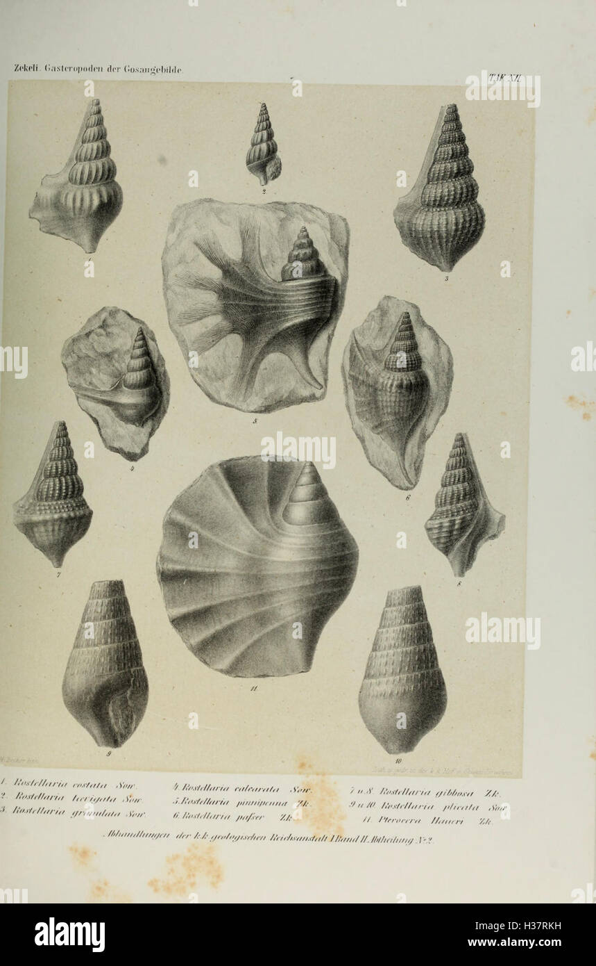 A collection of scientific papers from the Imperial Royal Geological ...
