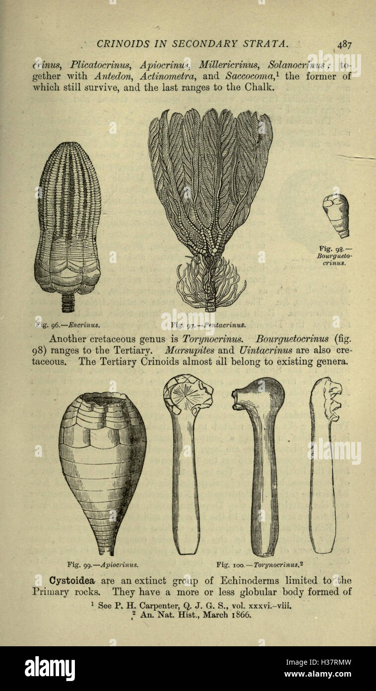 This manual offers a detailed guide to geology, including both ...
